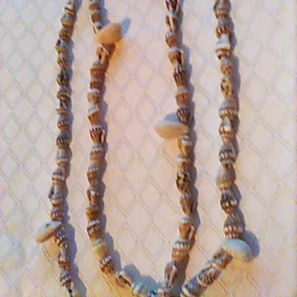 Necklace Sea Shells 18 Inches Long Vintage - Gem